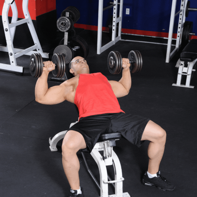 Prepping for hypertrophy: M.A.X. Metabolic Phase | Australian Institute ...