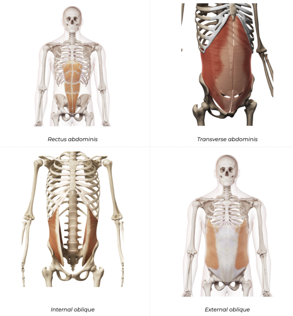 Redefining 'The Core': More Than Meets the Eye | Australian Institute ...