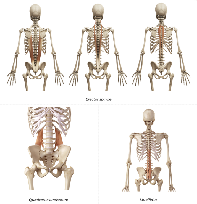 Redefining 'The Core': More Than Meets the Eye | Australian Institute ...