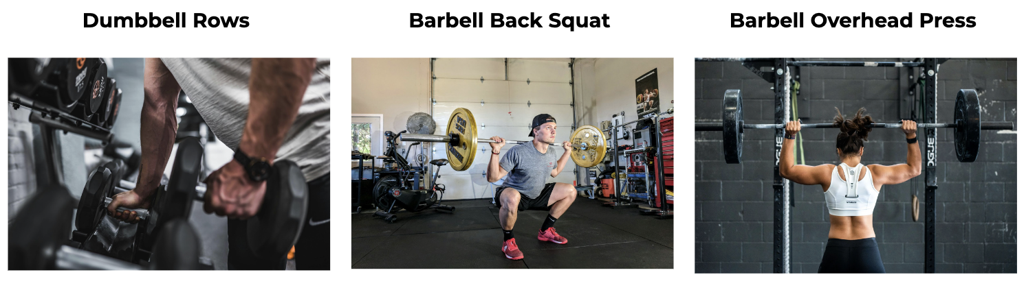 Weighing In: Free-Weight Training Versus Machine Training | Australian ...