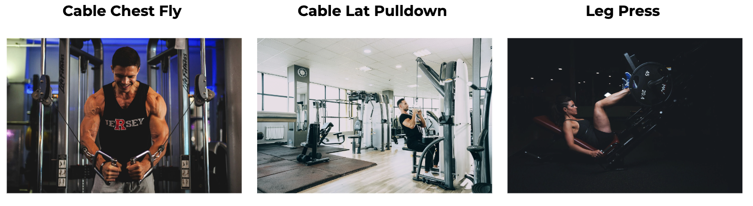 Weighing In: Free-Weight Training Versus Machine Training | Australian ...